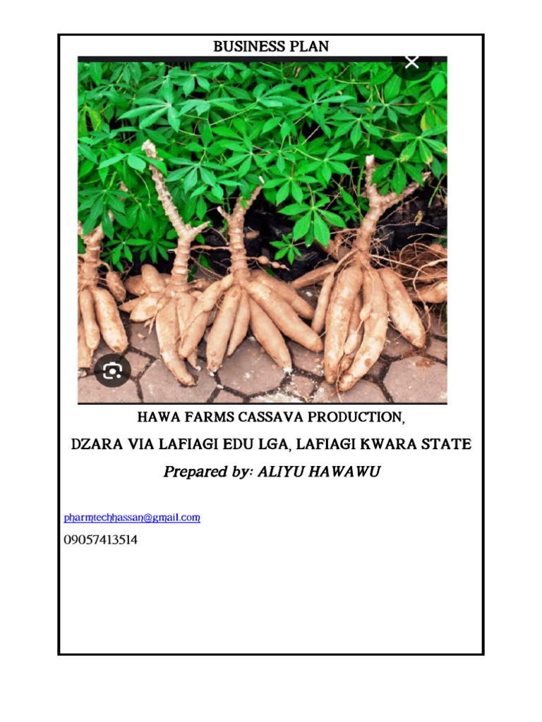 Aliyu Business Business Plan | PDF