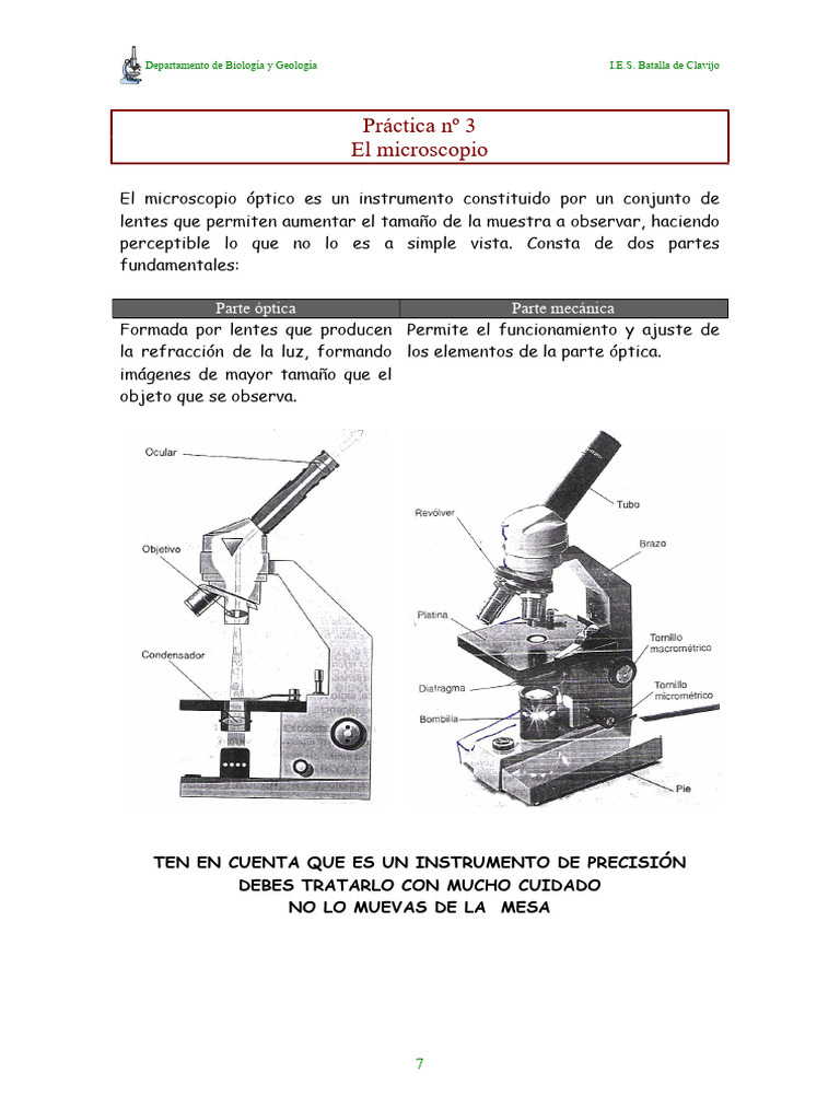 Microscopio | PDF