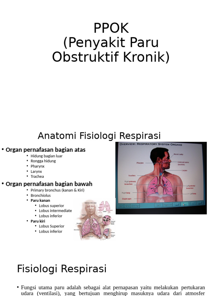 PPOK | PDF