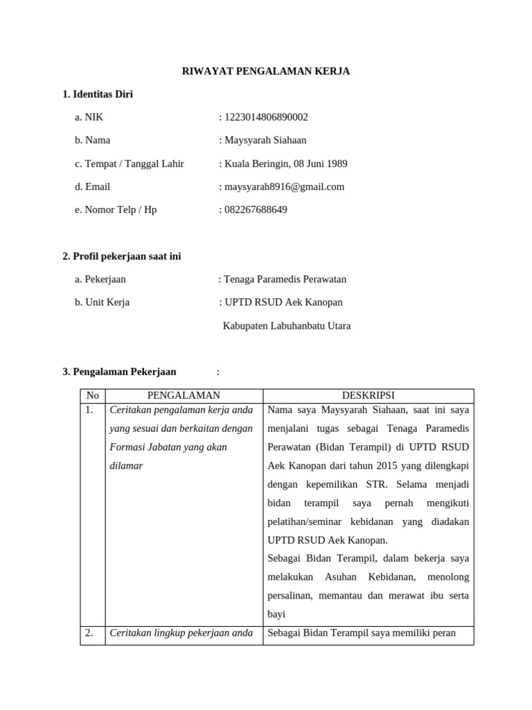 Pengalaman Kerja Mey | PDF