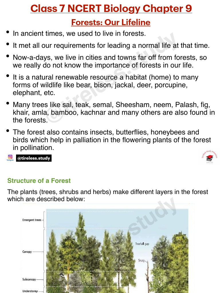 Class 7 Lesson 9 | PDF