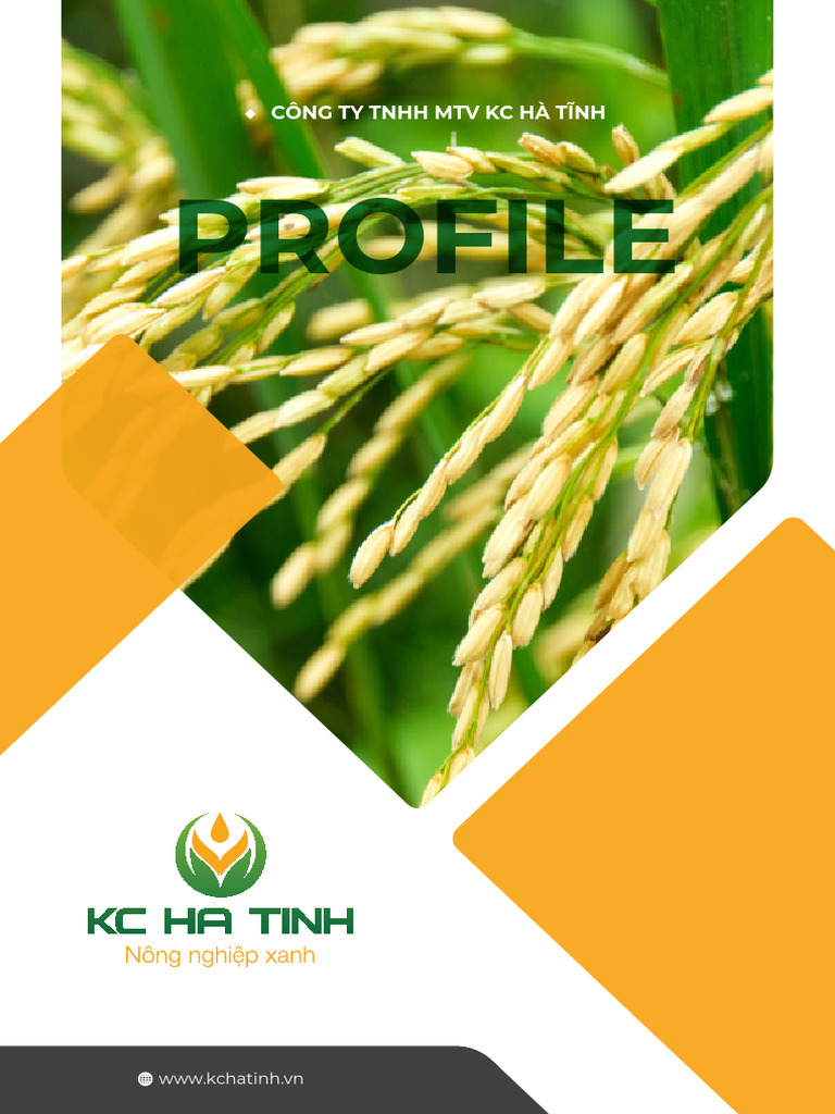 KC Ha Tinh | PDF