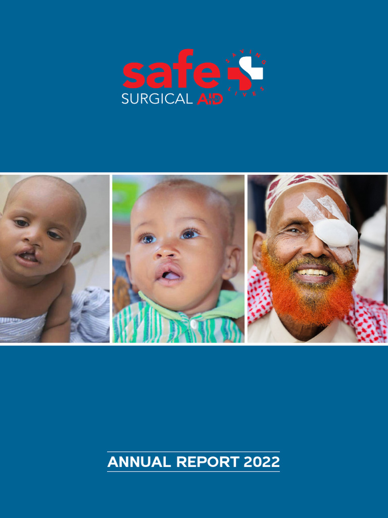 Annual Report 2022 | PDF