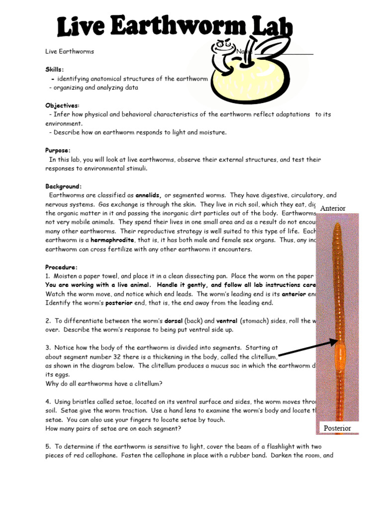 Live Earthworms Lab | PDF