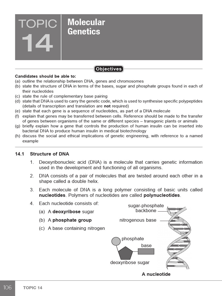 Molecular Genetics | PDF