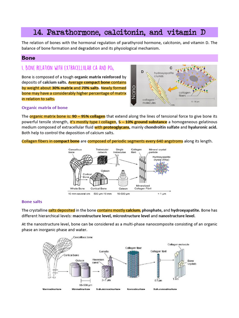 PTH, Calcium and Phoshpate | PDF