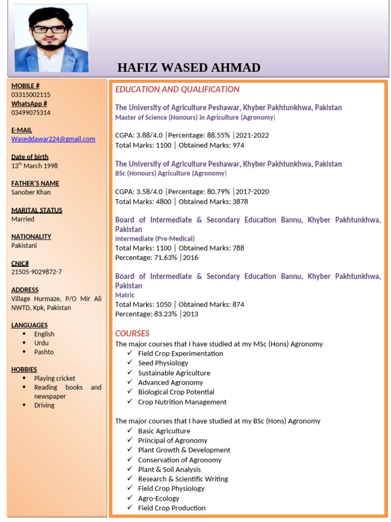 New Version CV 2024 | PDF