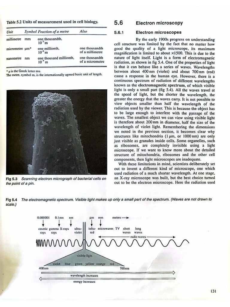 Electron Microscopy - Biological Science TB | PDF