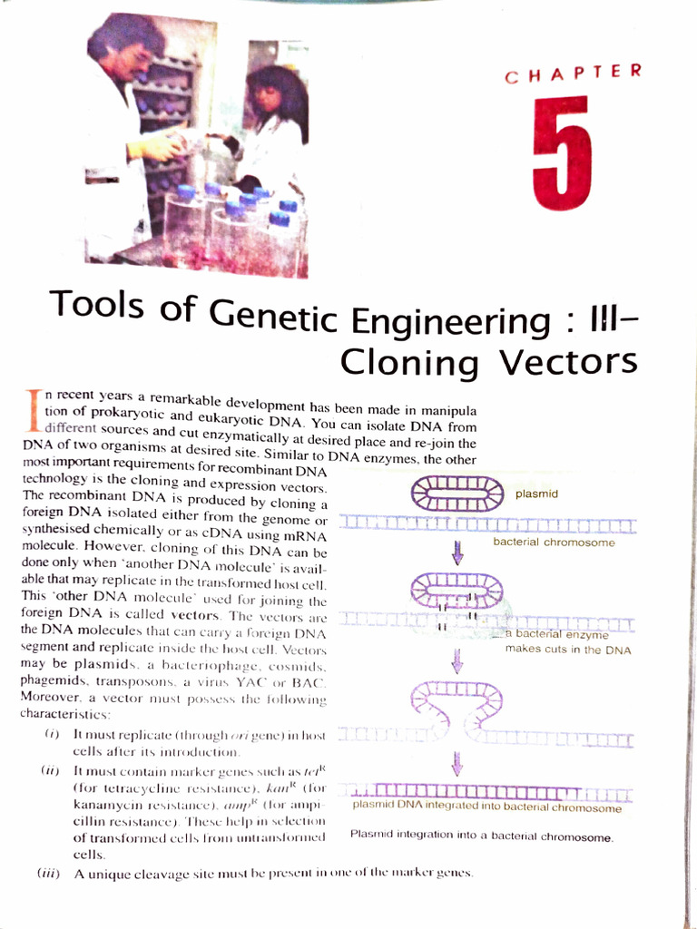 Unit 2 Vectors | PDF