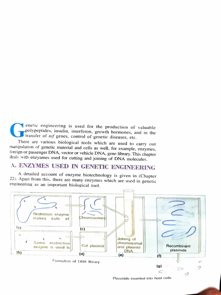 Unit 2 - Genetic Engineering Tools - Enzymes | PDF