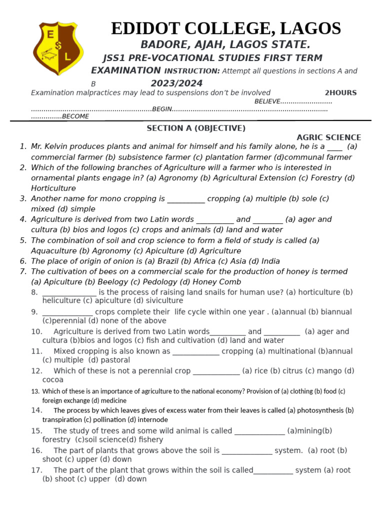 PVS First Term | PDF