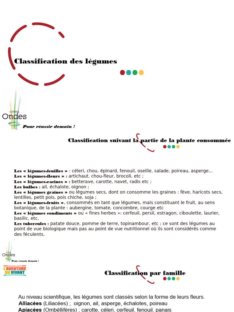 Classification Des Légumes | PDF