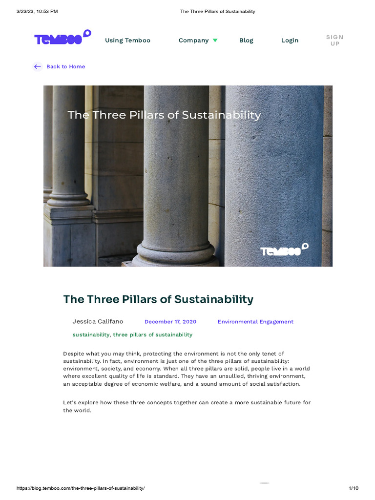 The Three Pillars of Sustainability | PDF