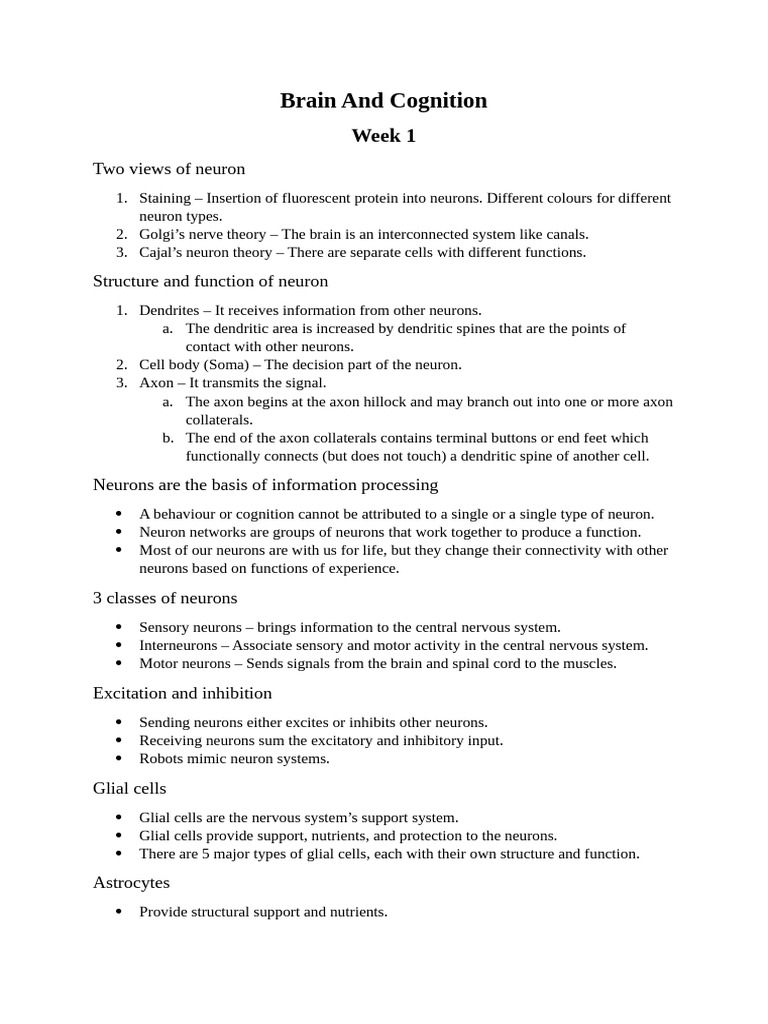 Brain and Cognition | PDF