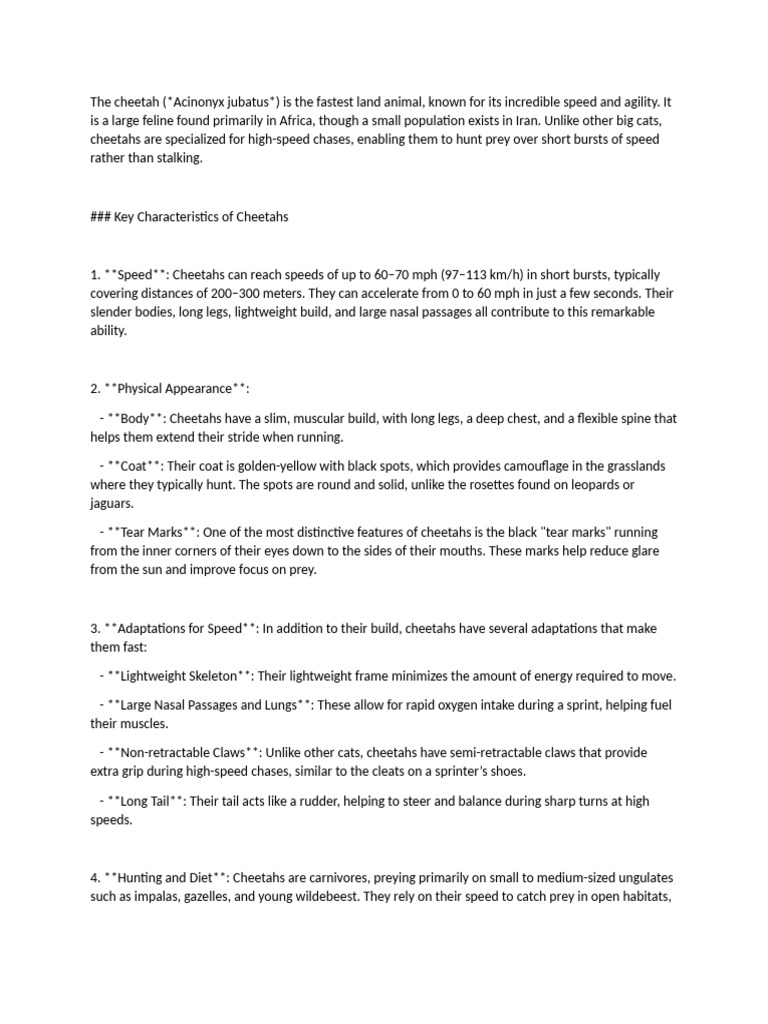 Cheetah Pdf