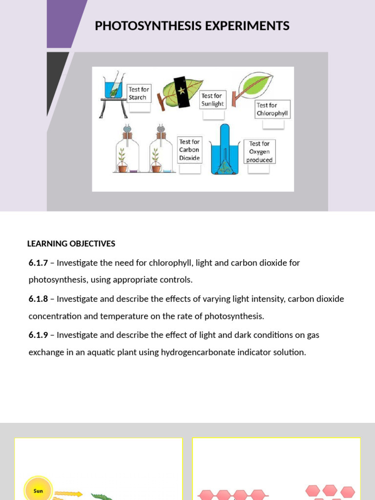 6.1 - Photosynthesis Experiments | PDF