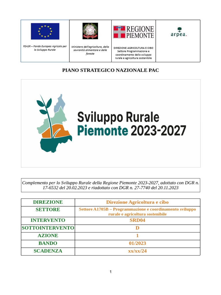 Bando SRD04 - Az 1.D | PDF
