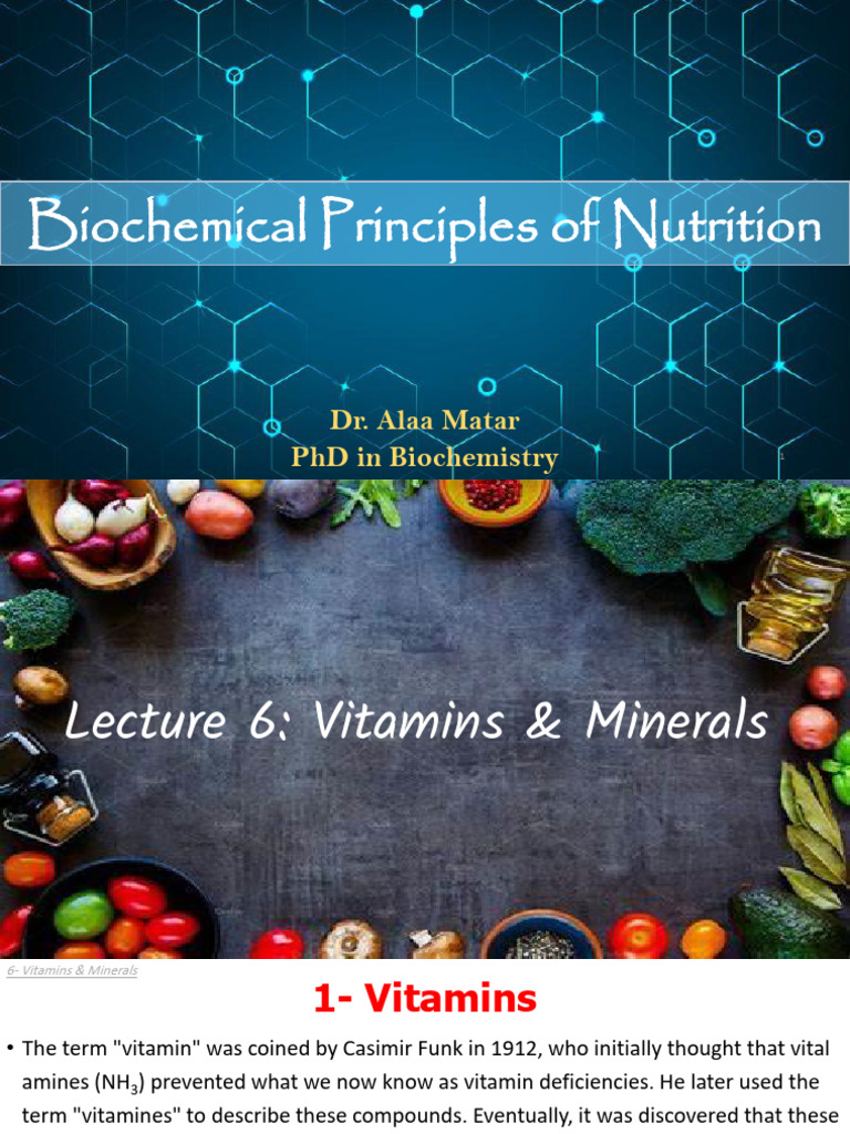 Lecture 6 - Vitamins & Minerals | PDF