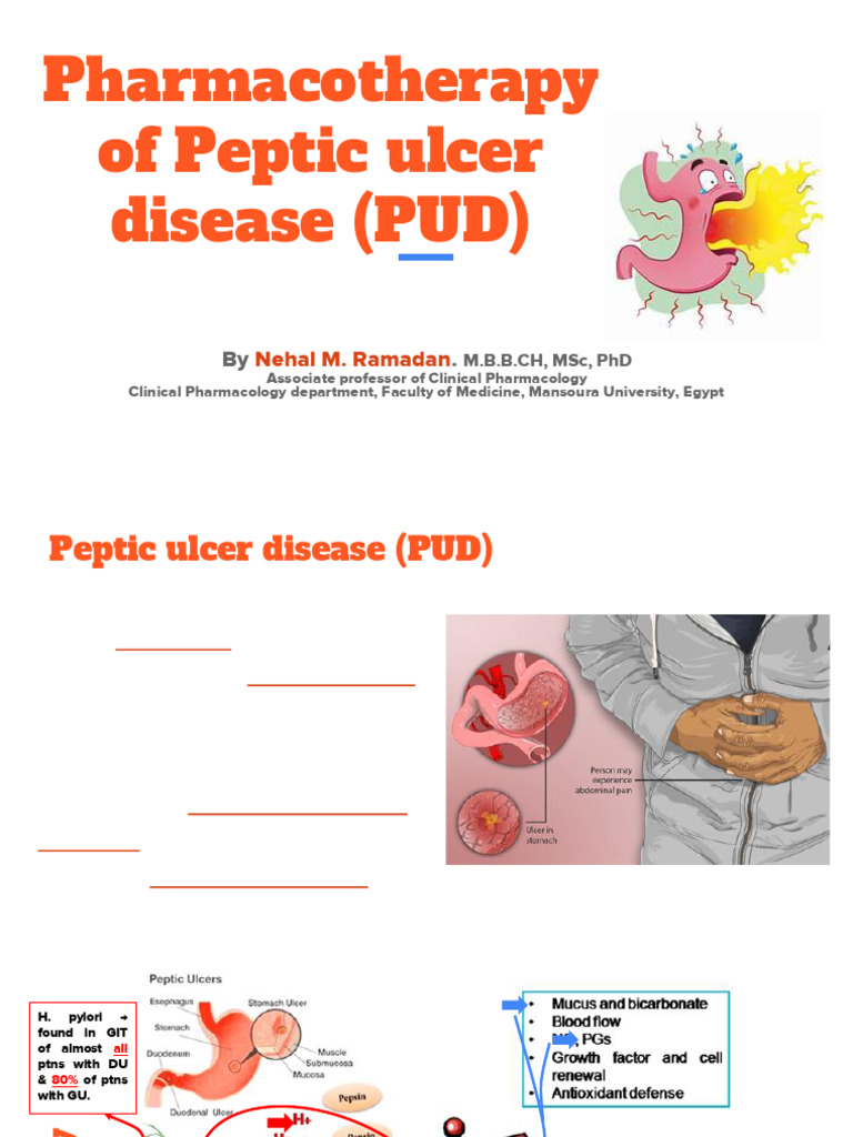 PUD 2024 | PDF