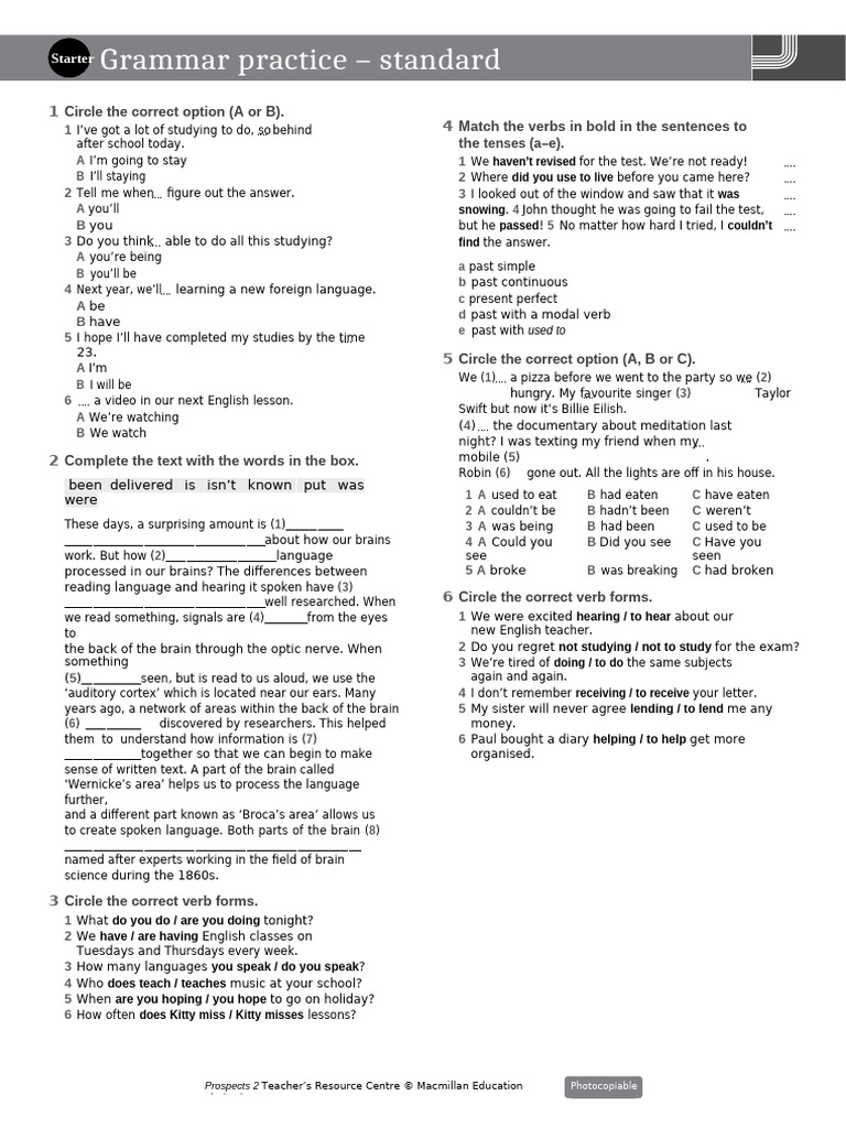 Grammar Practice | PDF