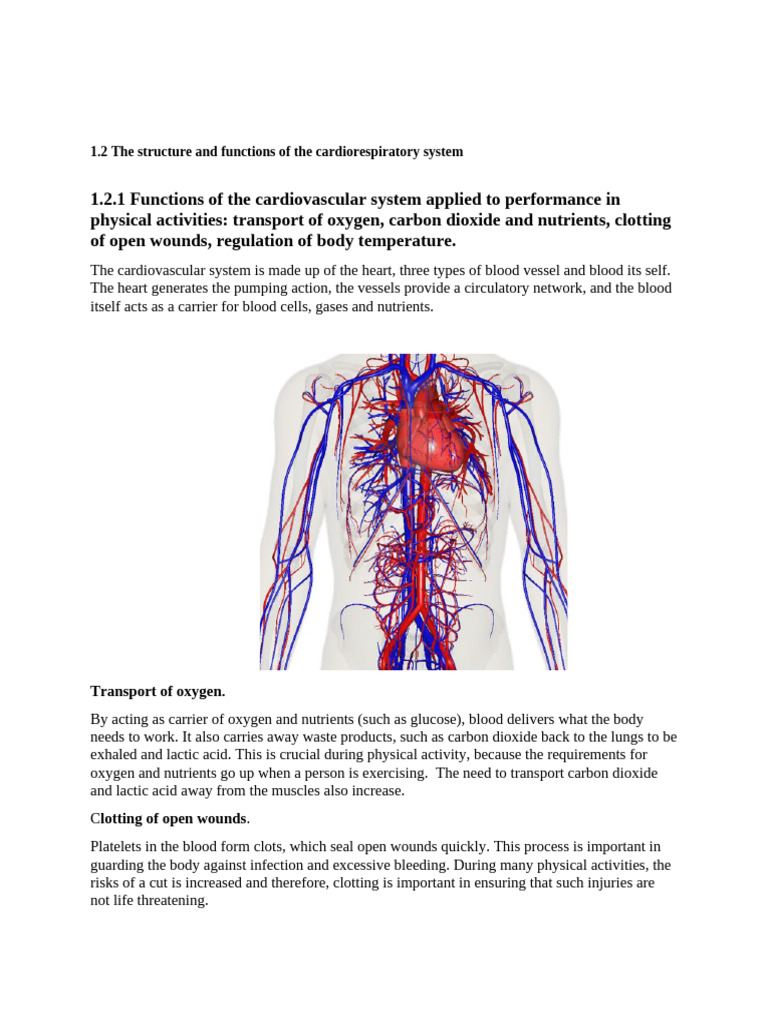 1.2 The Structure and Functions of The Cardiorespiratory System | PDF