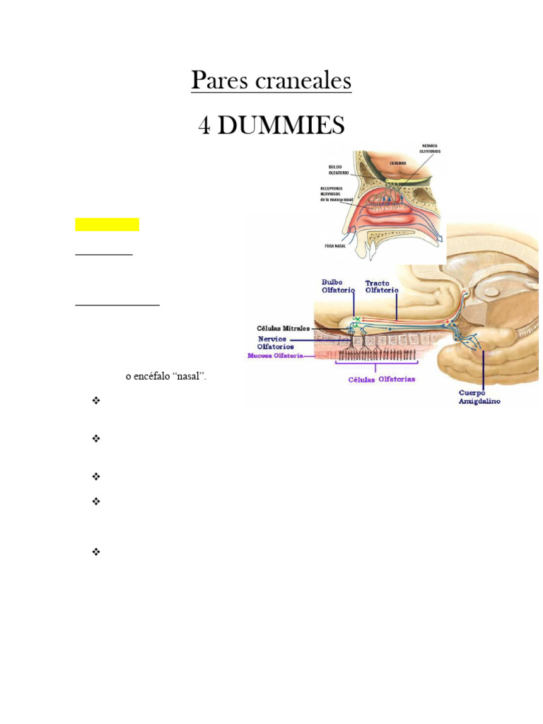 Guía Resumen - Pares Craneales | PDF