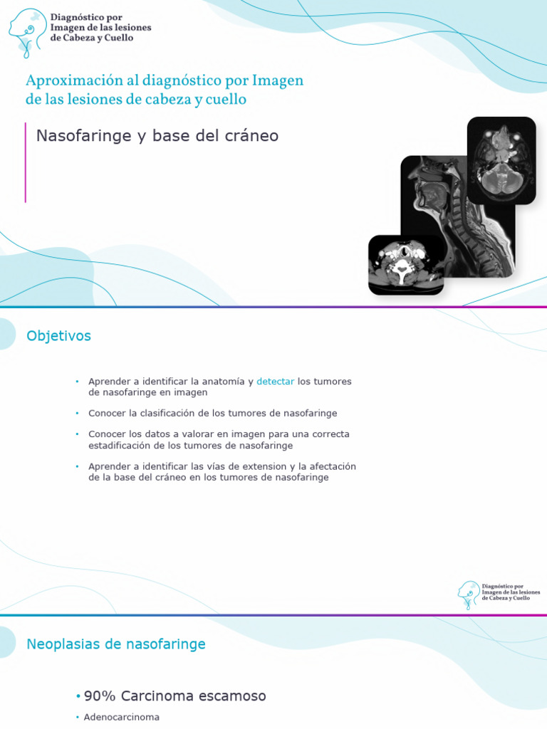 Modulo 1 Nasofaringe y Base Del Craneo | PDF
