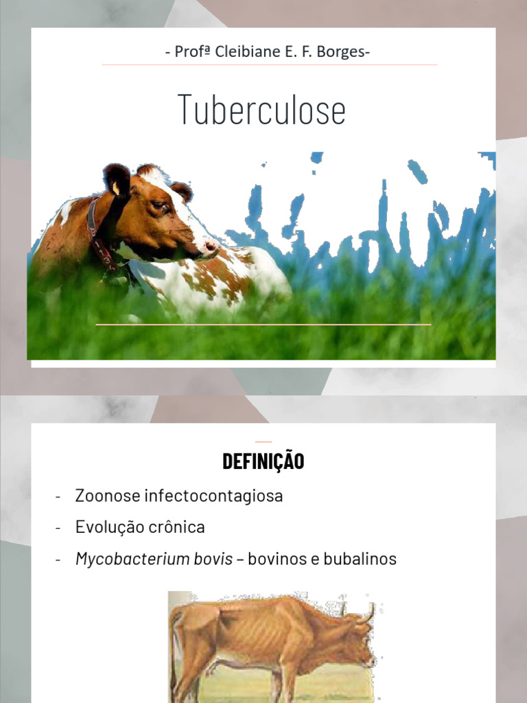 Aula 05 Tuberculose | PDF