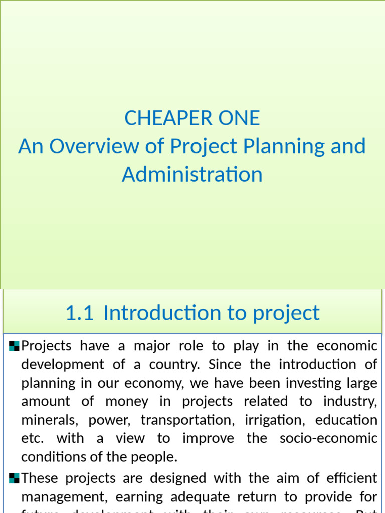 Project Management Slide | PDF