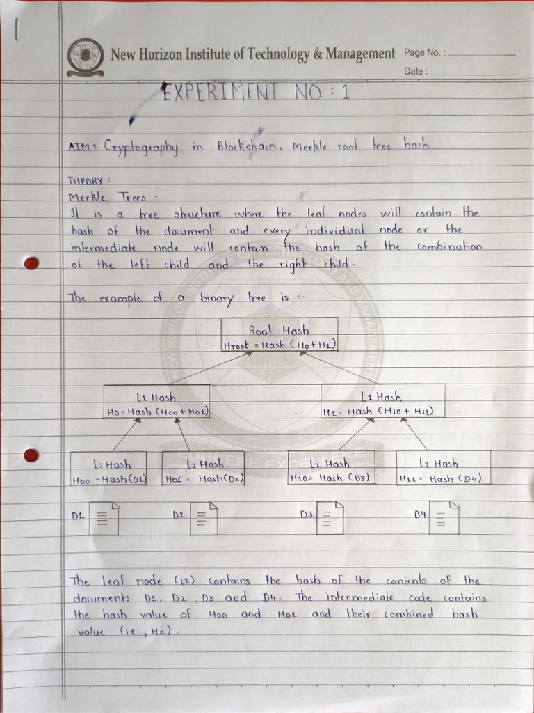 BCT Practical Write-Ups 1-4 | PDF