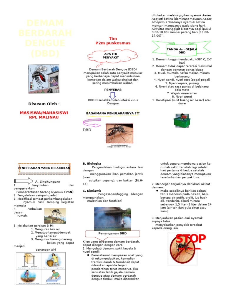 Leaflet Sap DBD | PDF