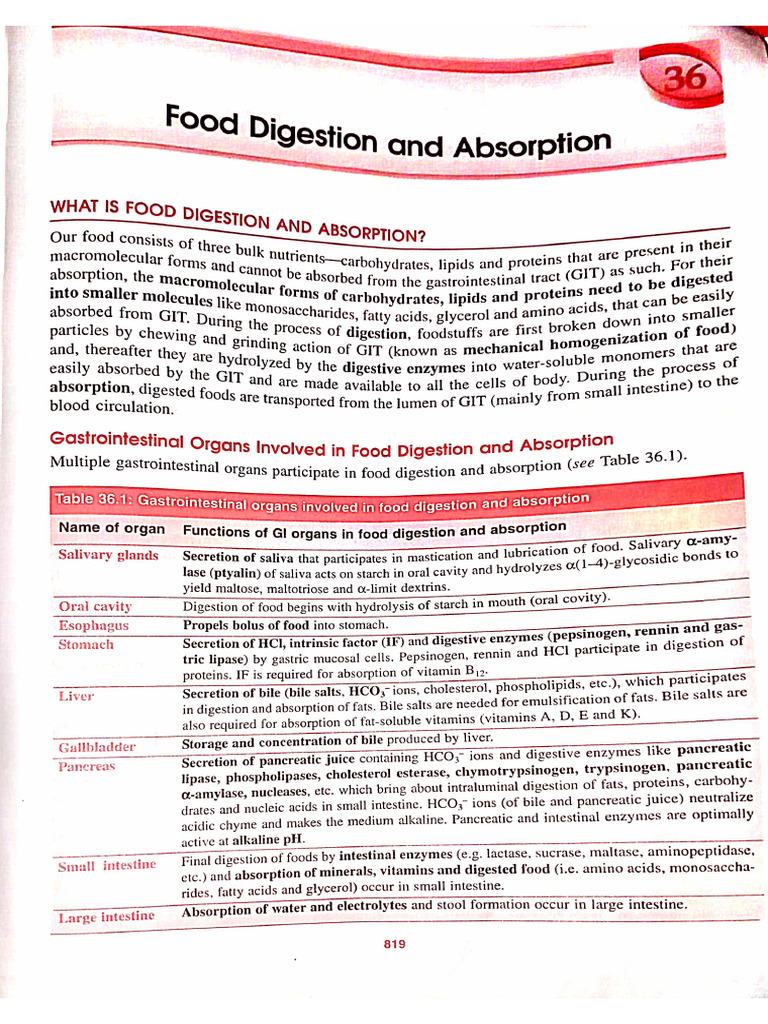 Digestion and Absorption | PDF