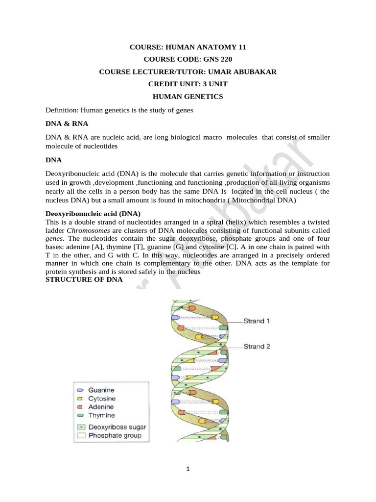 Human Genetics | PDF