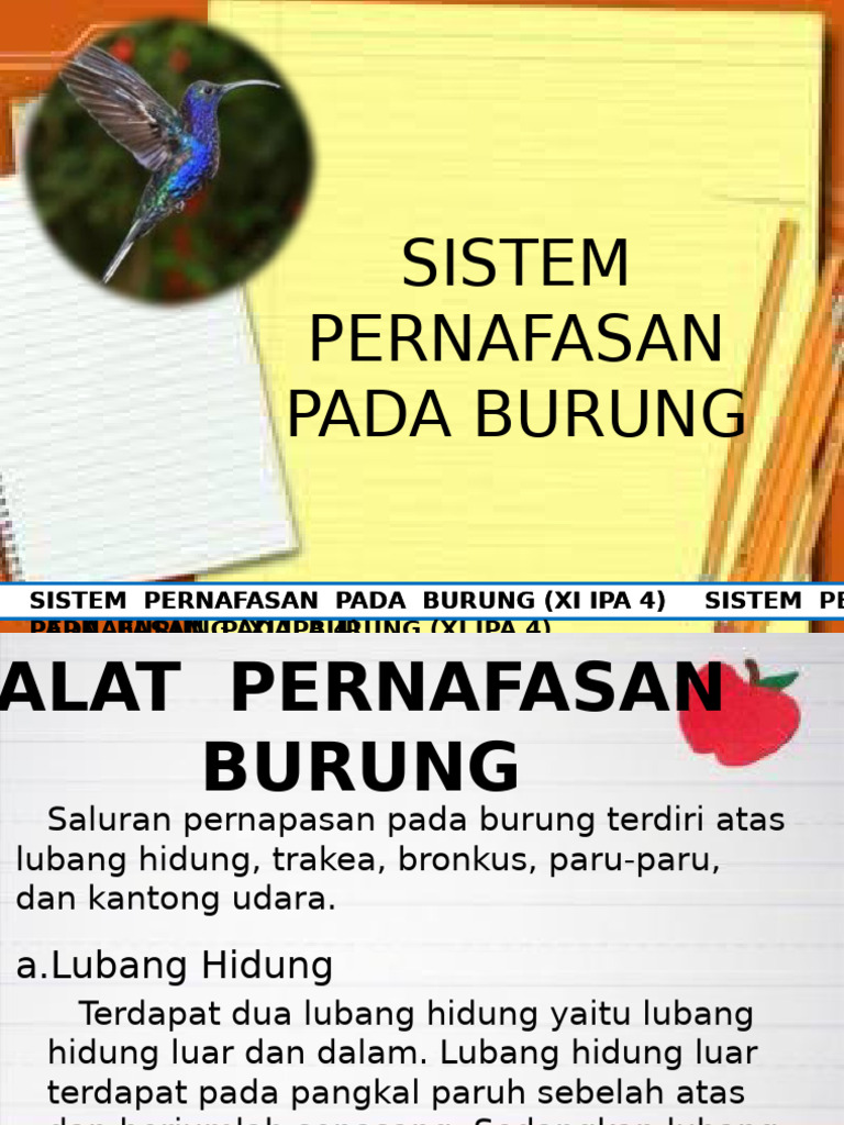 Sistem Pernafasan Pada Burung | PDF