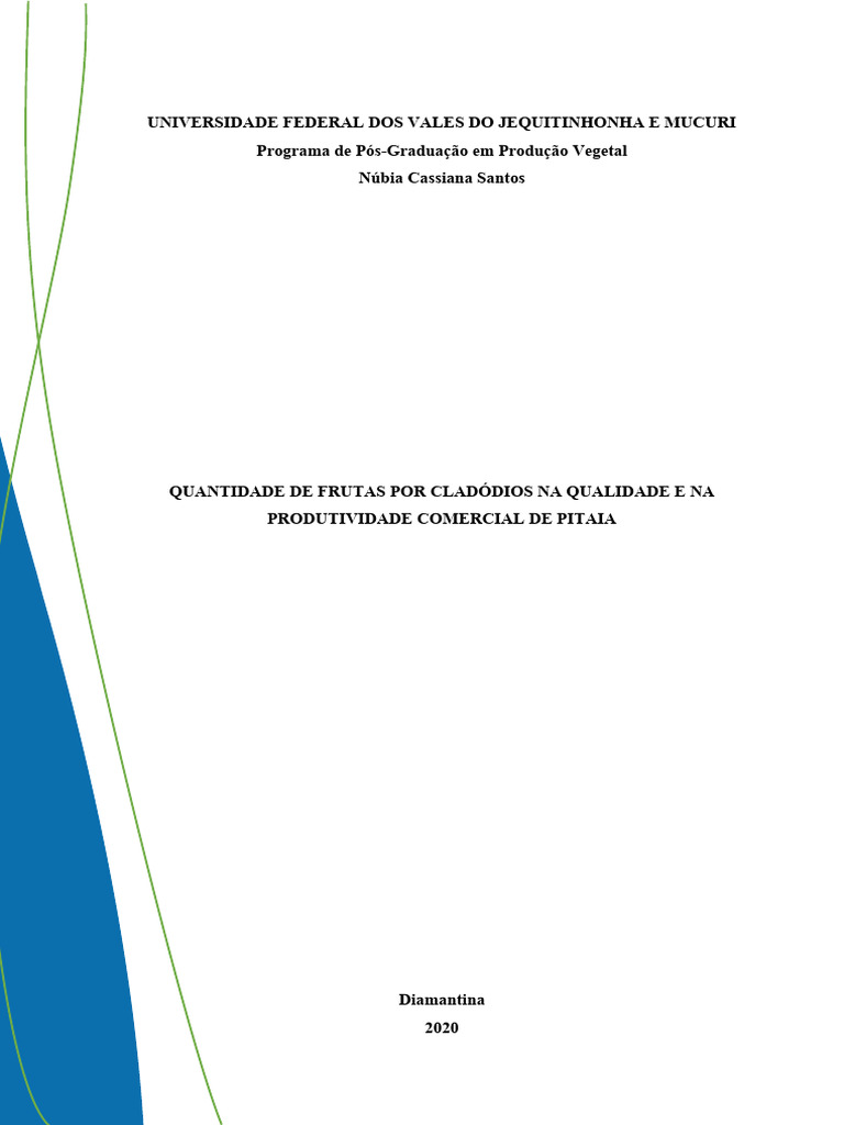 Para o Meu TCC 2 | PDF