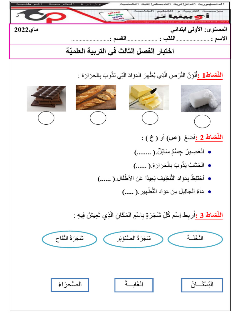 Examen Education Scientifique 1AP | PDF