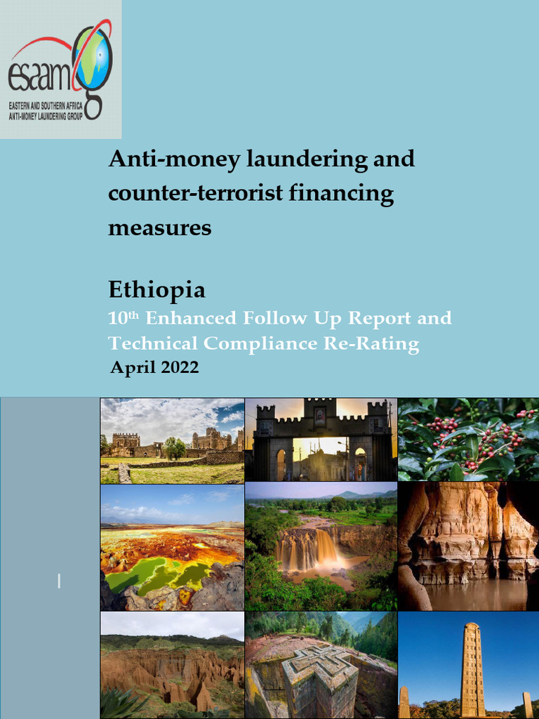 FATF Report | PDF