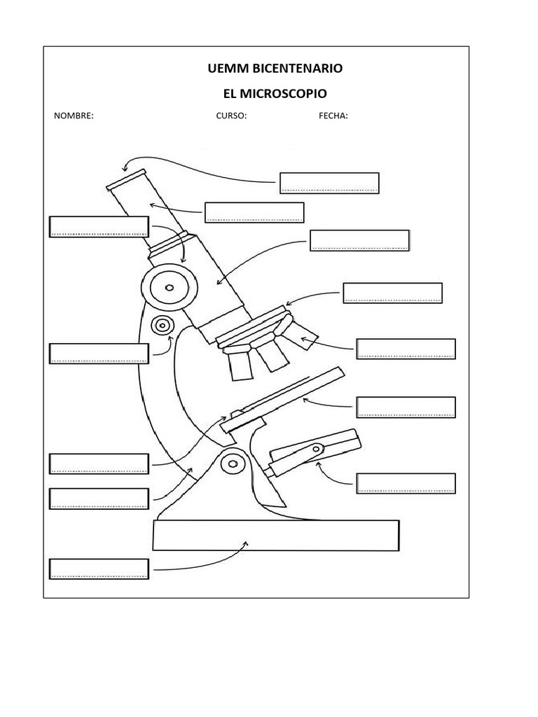 El Microscopio-Hoja | PDF