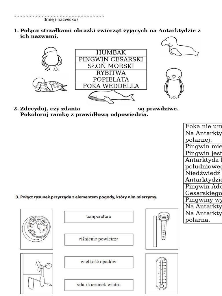 Przyroda Kartkówka Klasa 2 | PDF