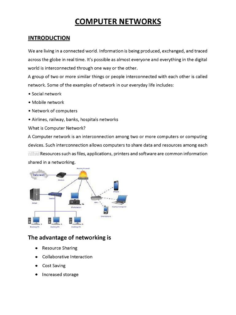 Computer Network Class 12 NW | PDF