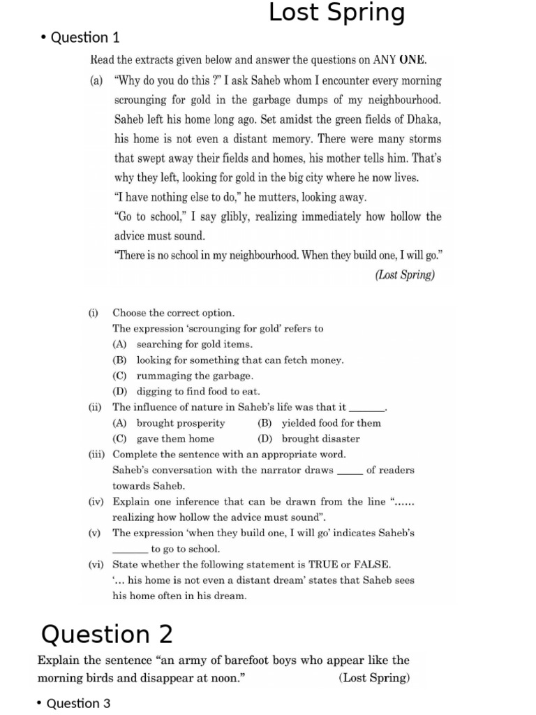 The Last Lesson | PDF