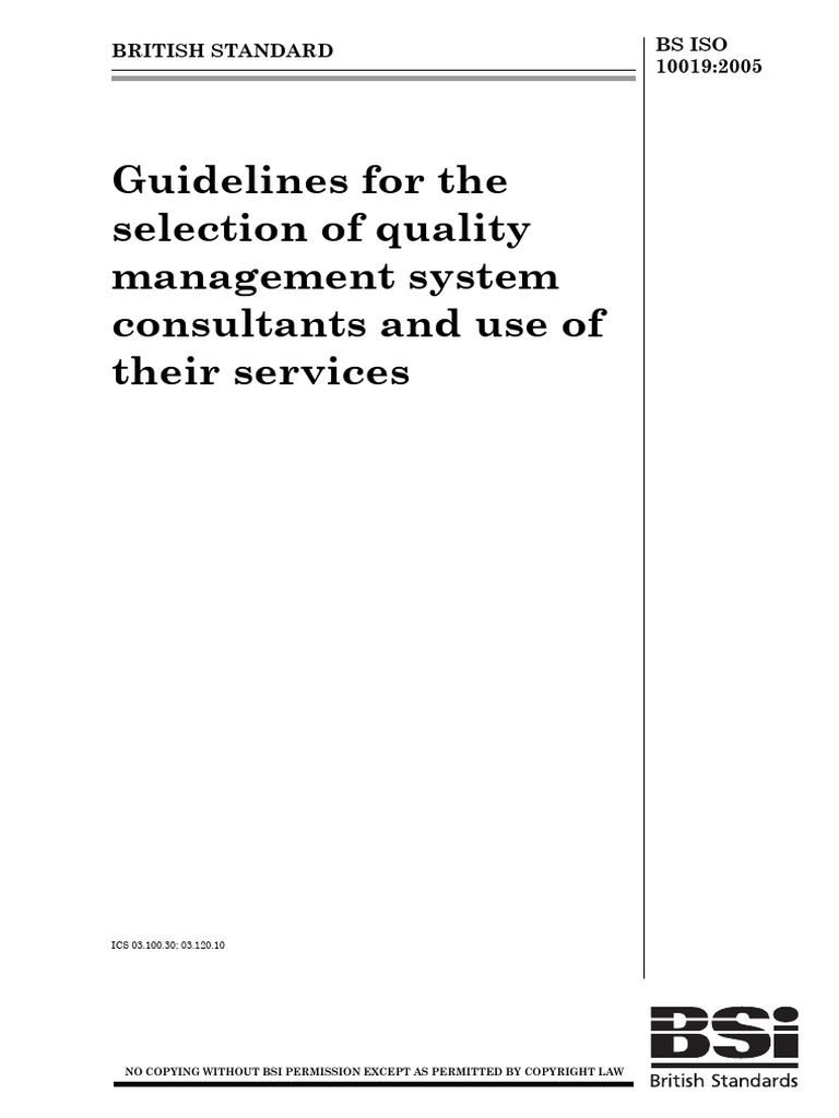 BS Iso 10019-2005 | PDF
