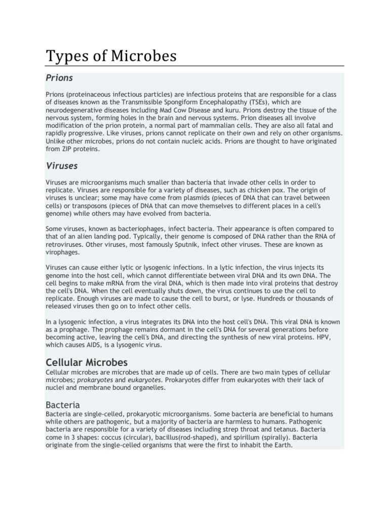 Microbe Mission WIKI | PDF | Bacteria | Staining