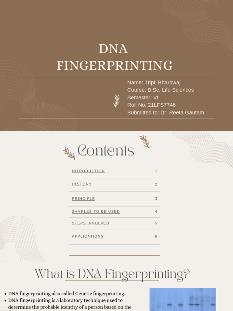 DNA Fingerprinting | PDF