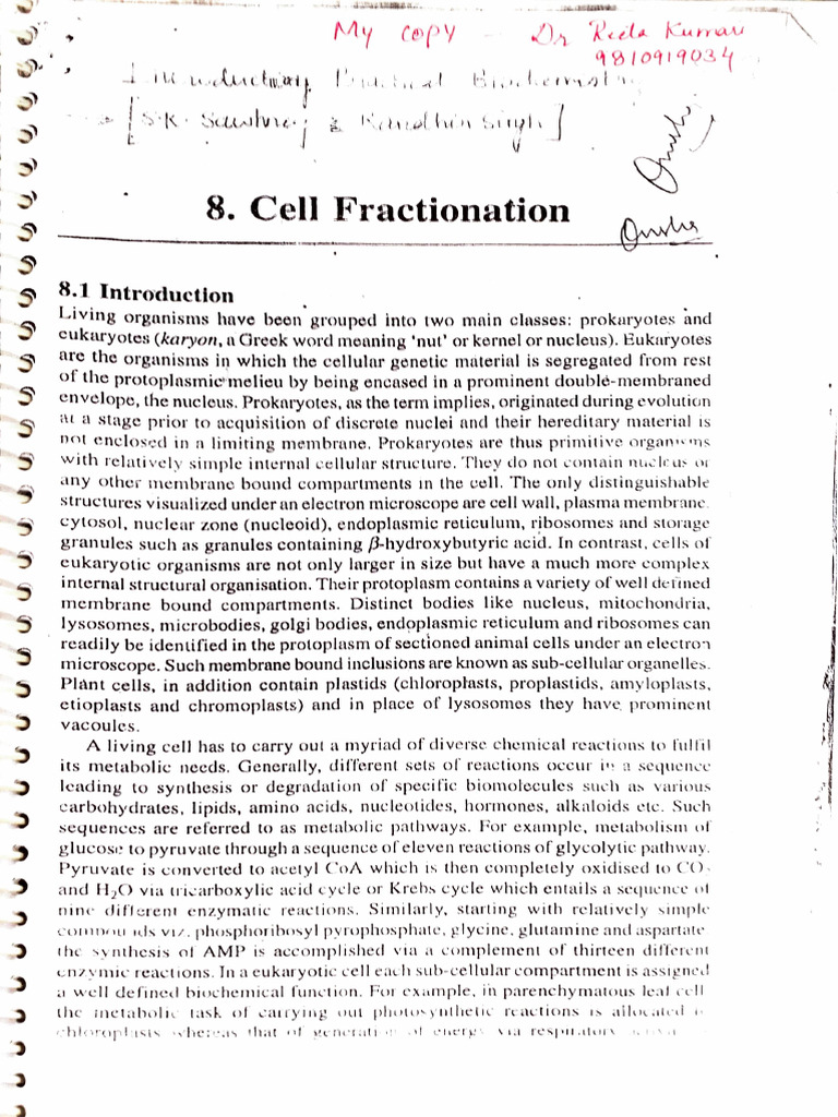 Cell Fractionation | PDF