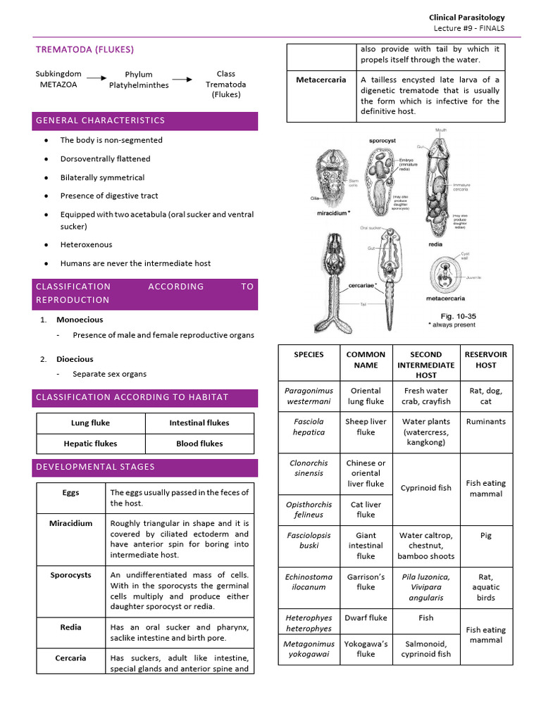 Parasitology (Lect #9) Trans | PDF