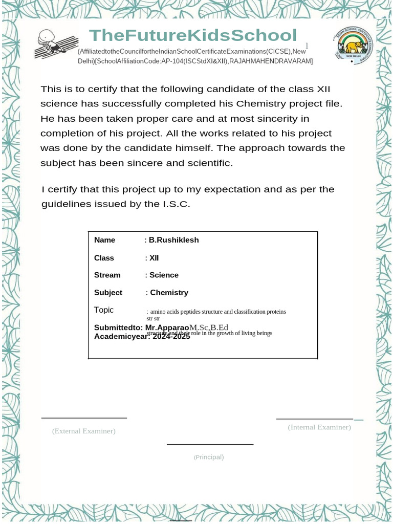 chem project final draft 2.0 | PDF