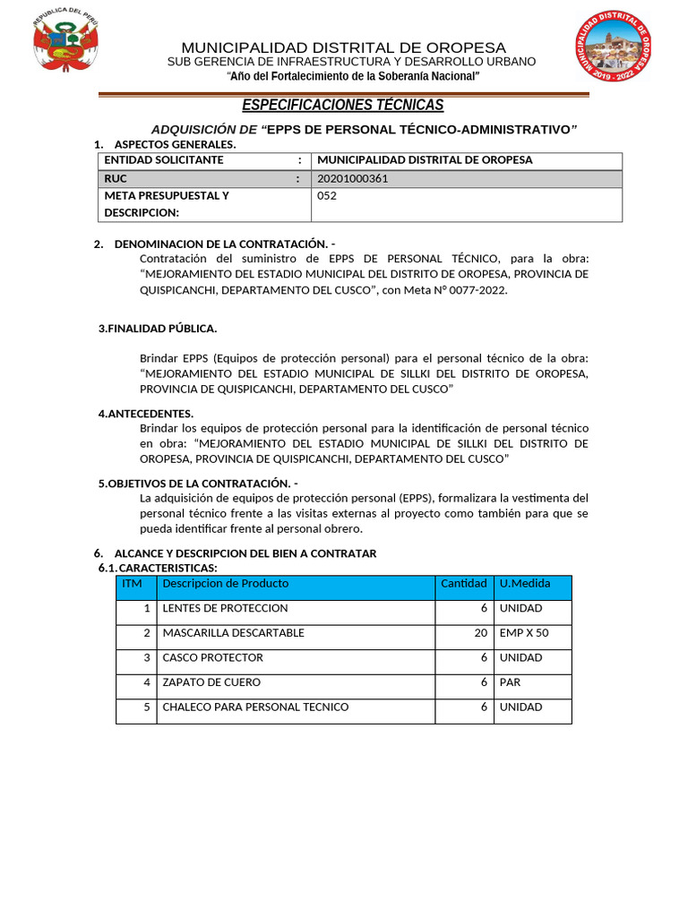 TDR Modelo de Bienes de Epp Personal Tecnico FINAL | PDF