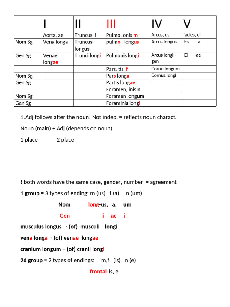 Latin Adjectives | PDF