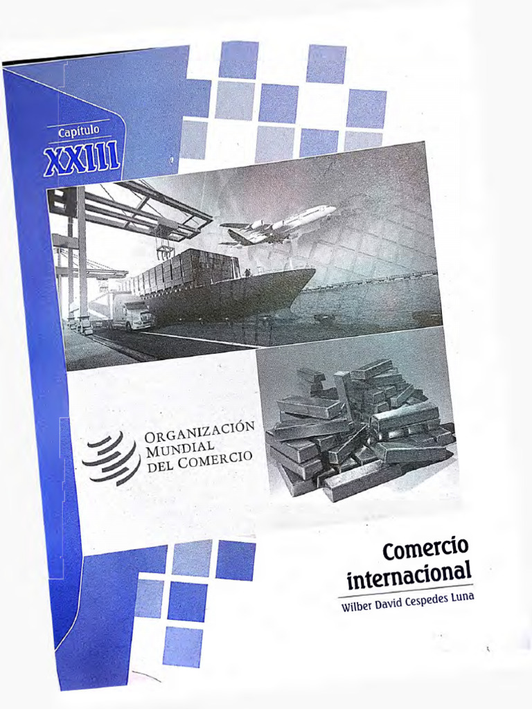 comercio internacional | PDF